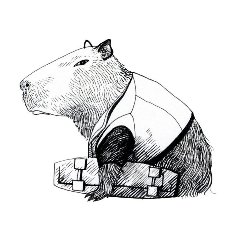 Capivara para Colorir e Imprimir