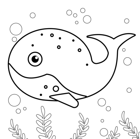 Imprimir Baleias para Colorir