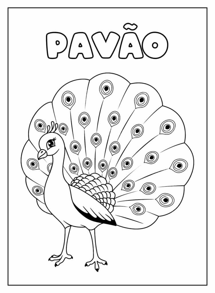 Desenhos de Pavão para Imprimir e Colorir