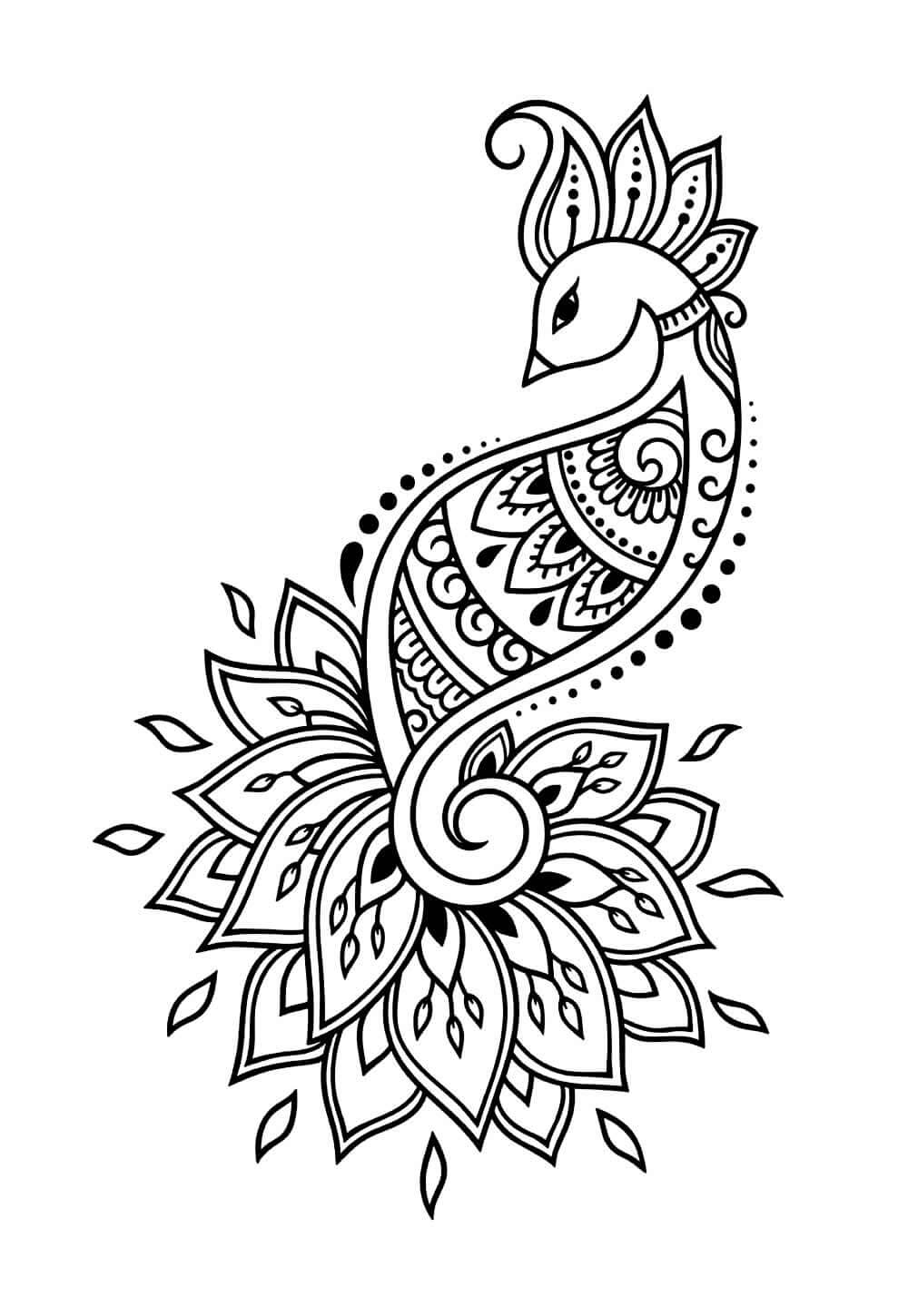 Desenhos de Pavão para Imprimir e Colorir