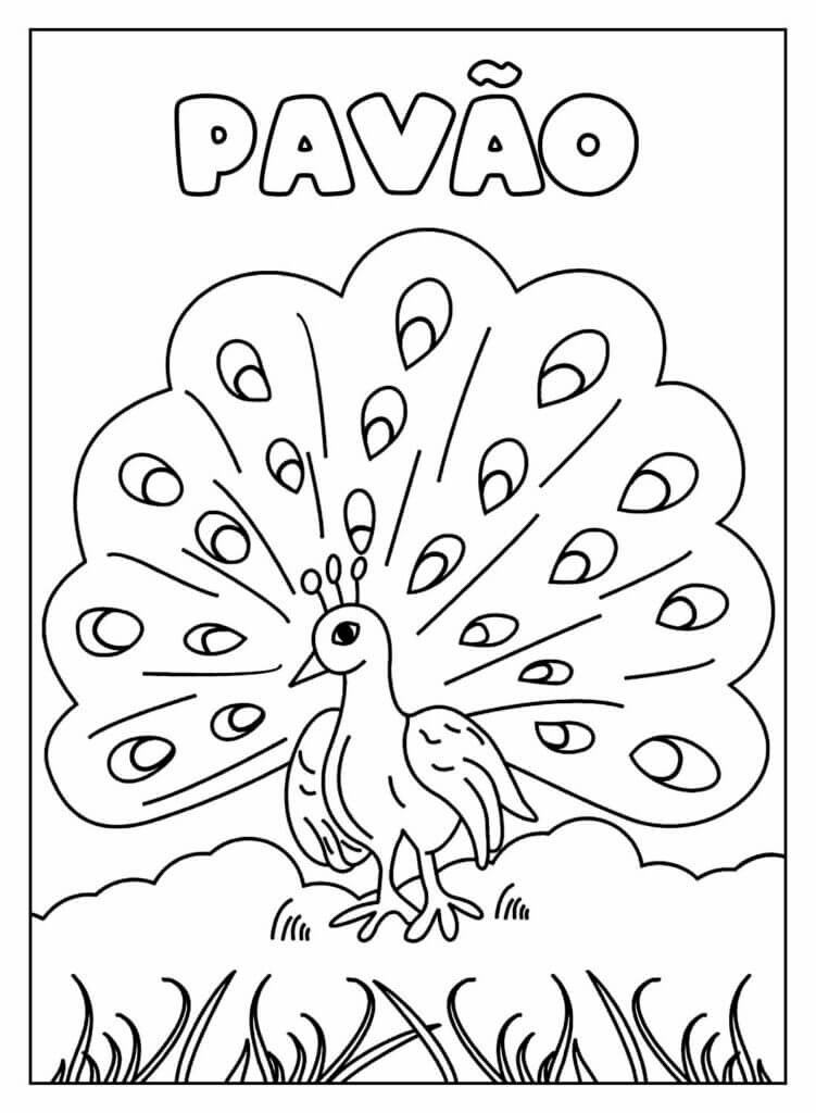 Imprimir Pavão para Colorir